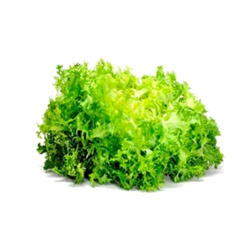 Alface Frissie Unid | Fresca | Bretas