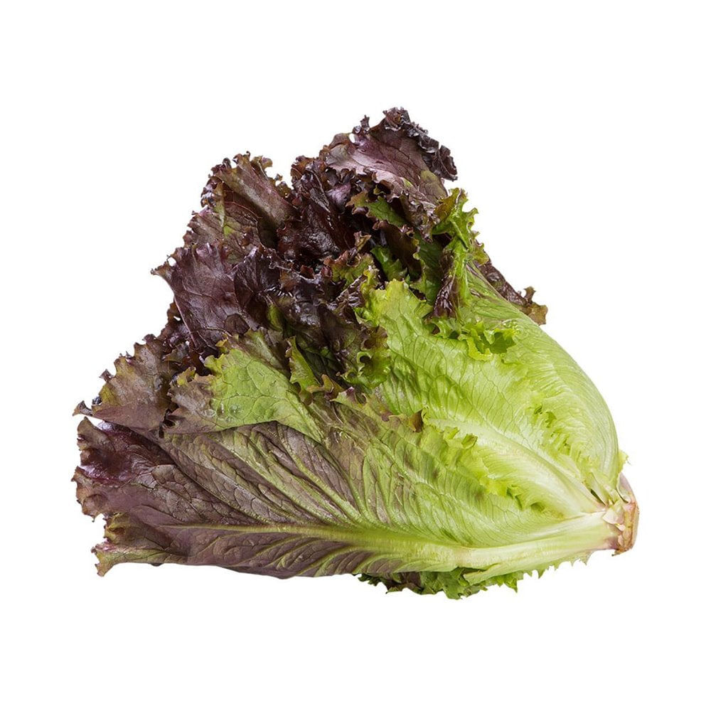 Alface Crespa Roxa Hidropônica Unid | Fresca | Bretas